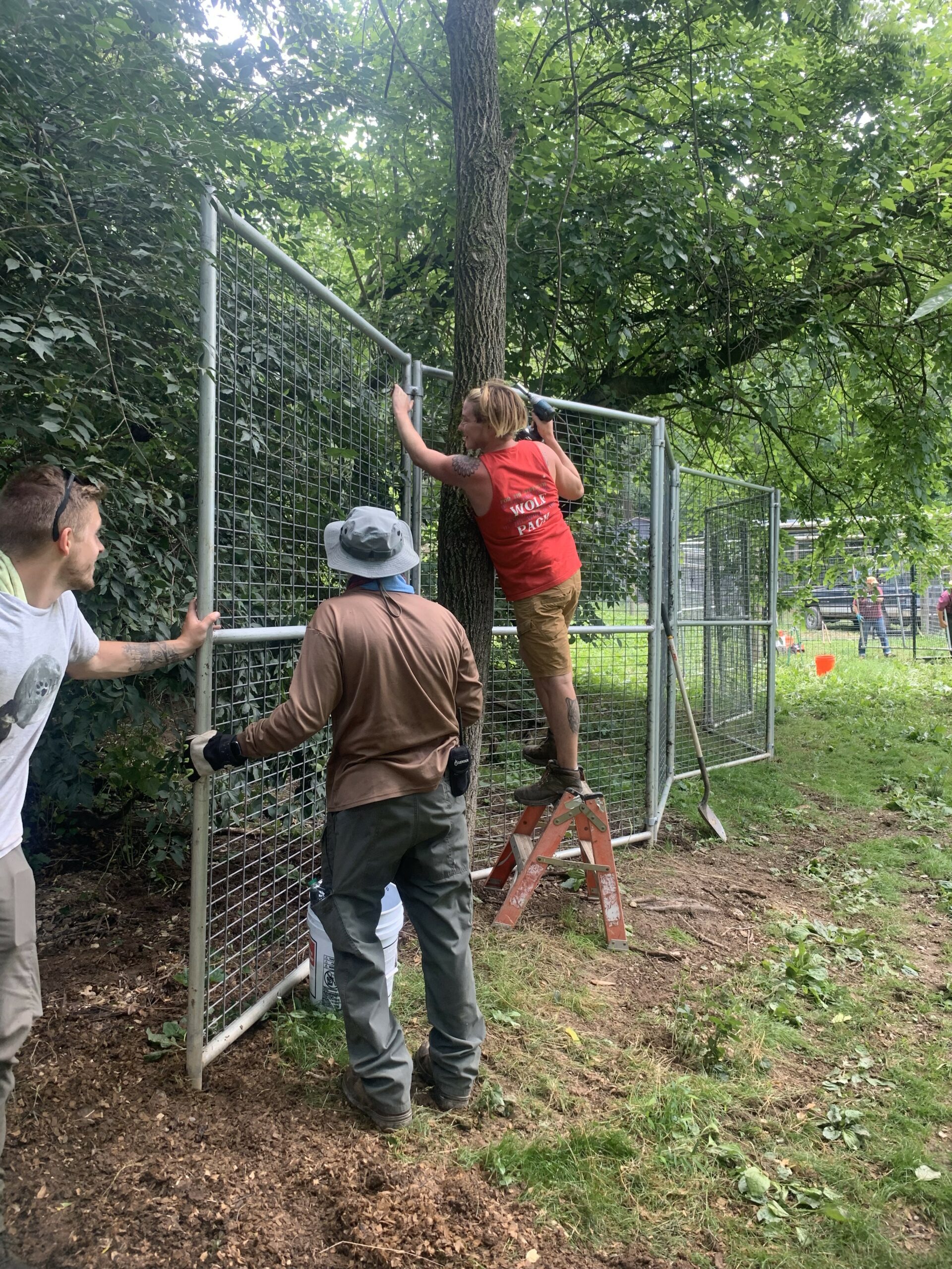 Donate Today and Help Support Wolf Sanctuary of PA